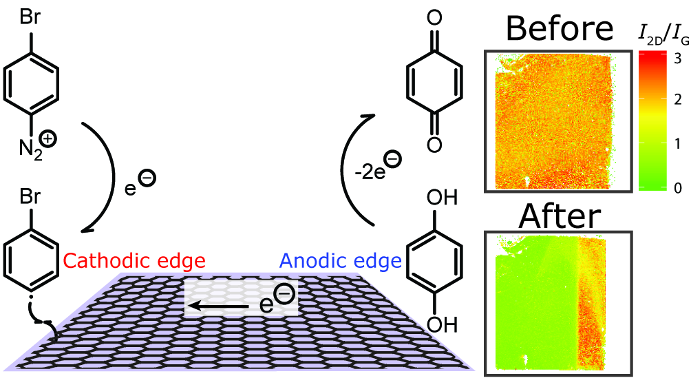 Functionalizing Arrays Of Transferred Monolayer Graphene On Insulating